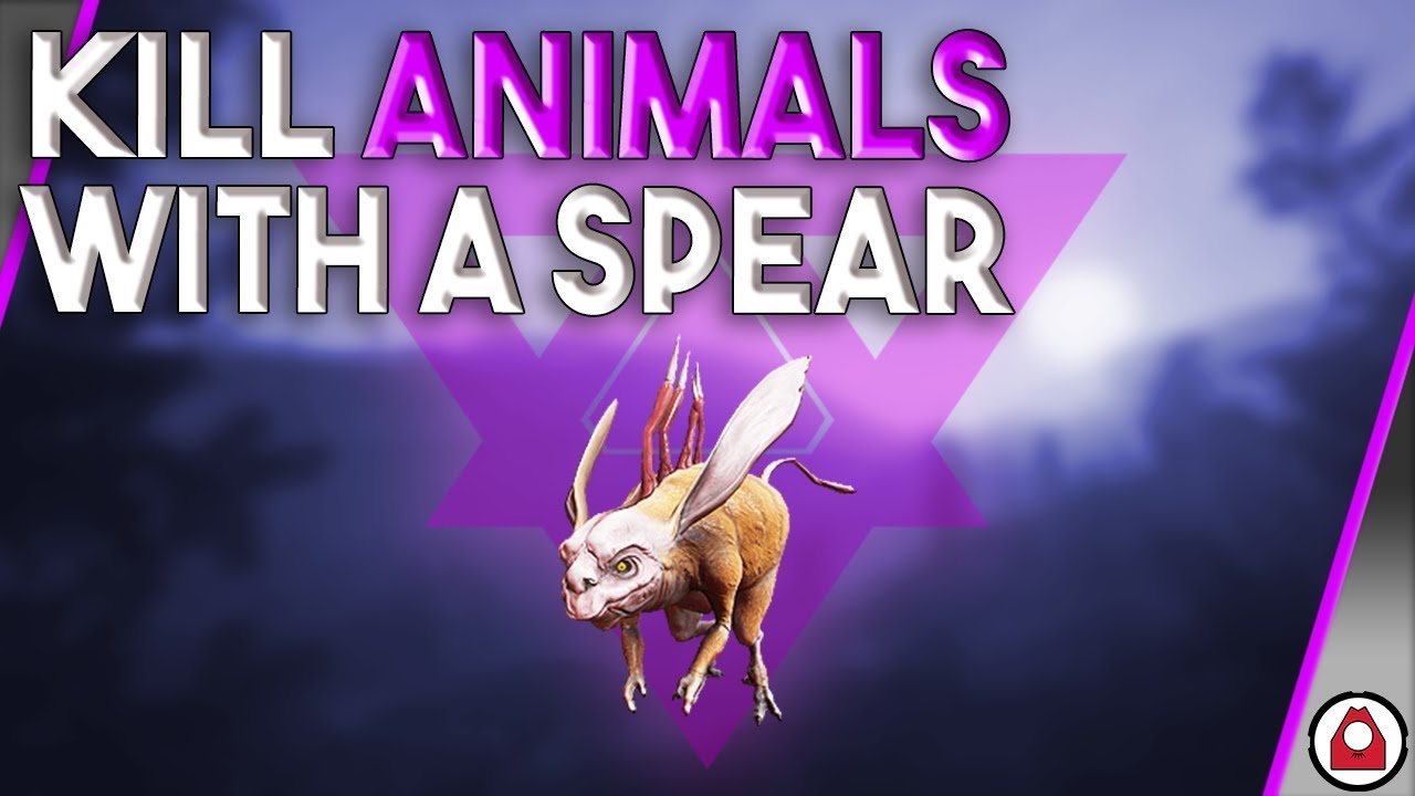 How to kill animals with a fishing spear - WARFRAME Riven - YouTube