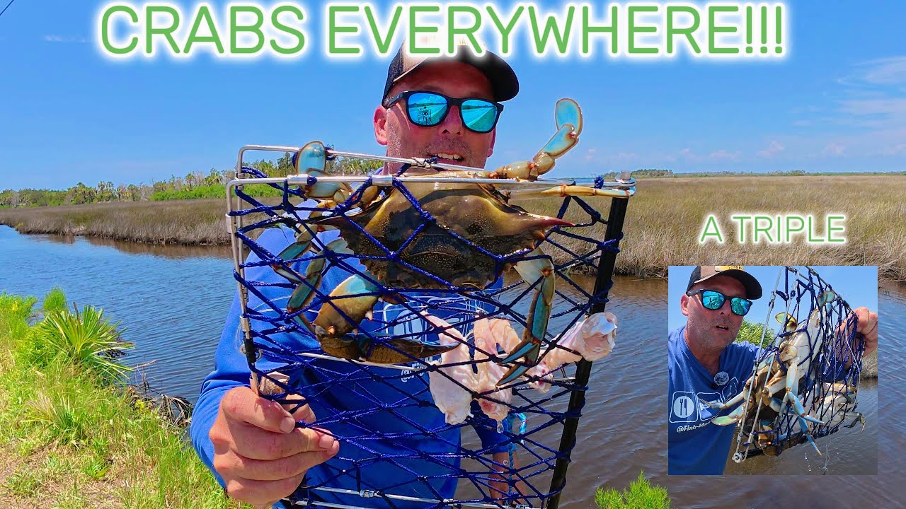 CRAB TRAPS & SUNSHINE - FLORIDA BLUE CRAB CATCH!! - YouTube