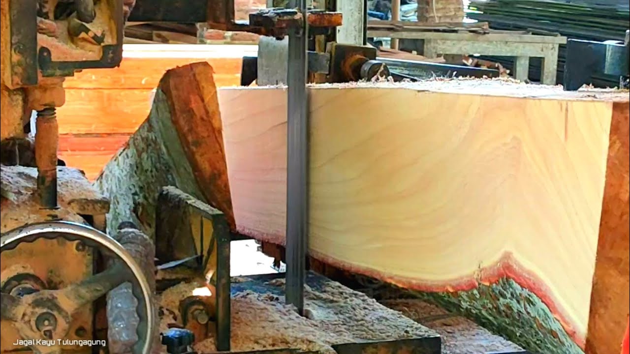 Startling,,!! This is the first time the wood of kapok has been sawed ...