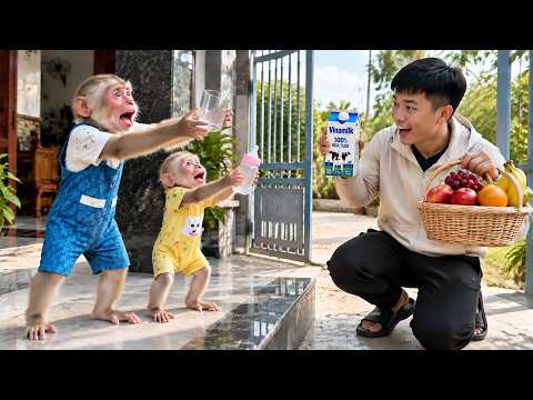 SinSin and Baby Monkey Are Hungry… Their Clever Way of Asking Dad for Help Is Adorable! 🐒