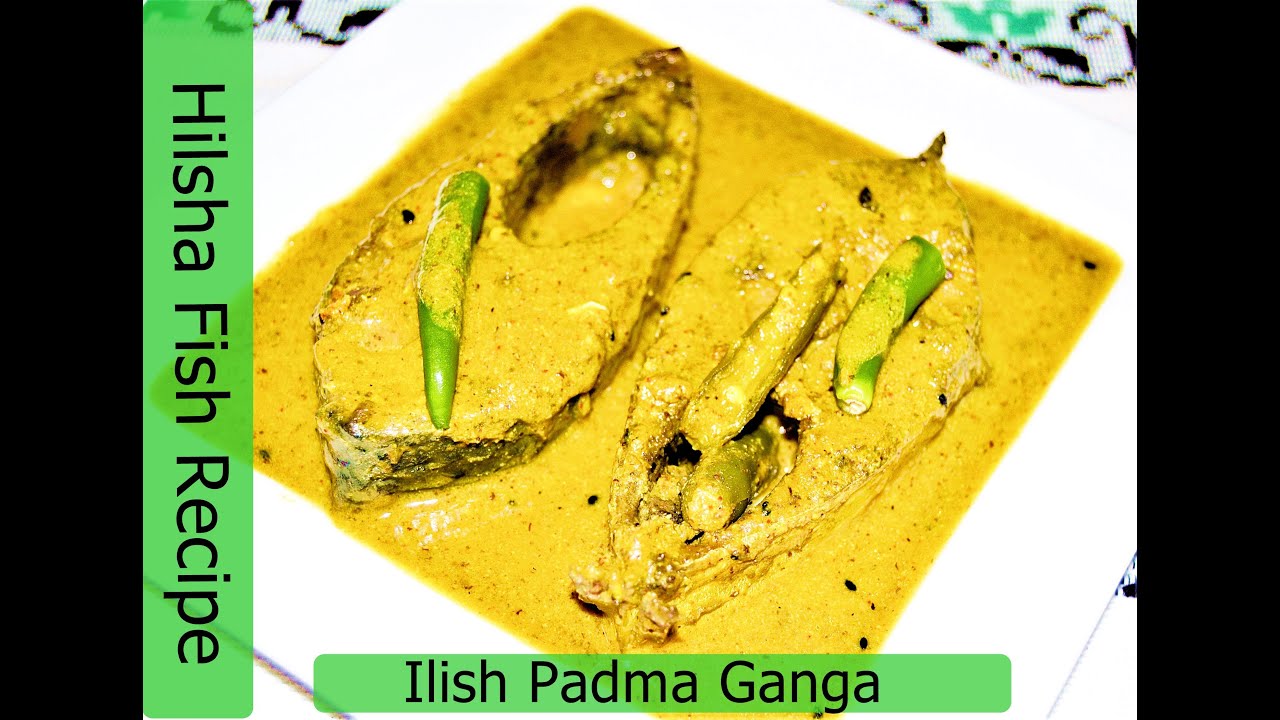 Ilish Machh / Hilsa Fish Recipe Bengali Special Recipe Ilish Padma ...