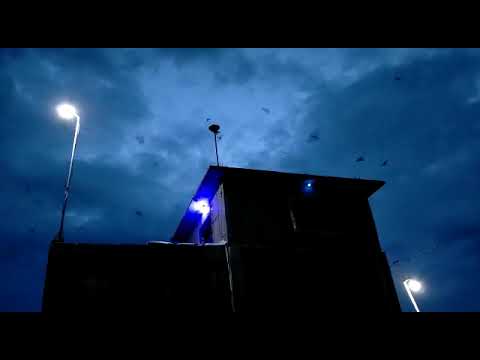 GARA - GARA  SP WALET tripel xxx   . ( TWN )   NTT tarikan magrib bikin ngerii.....