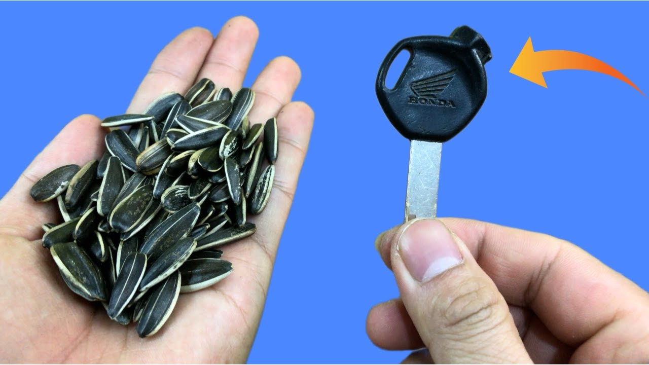 Tips to split the shell of seeds with just a key. - YouTube