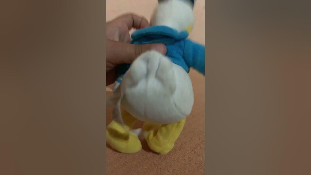 El pato Donal - YouTube