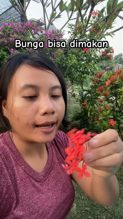 Bunga bisa dimakan #shorts #short #remix #bunga - YouTube