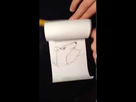 Barking Dog, Two-Page Flip Book Animation - YouTube