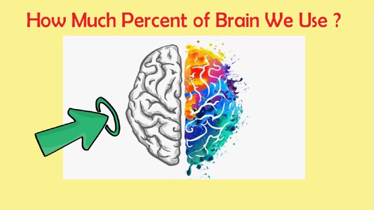 What percentage of your brain do you use? GK Questions with Answers ...