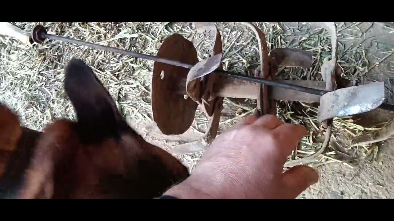 Agria 3001 con su rotavator. - YouTube