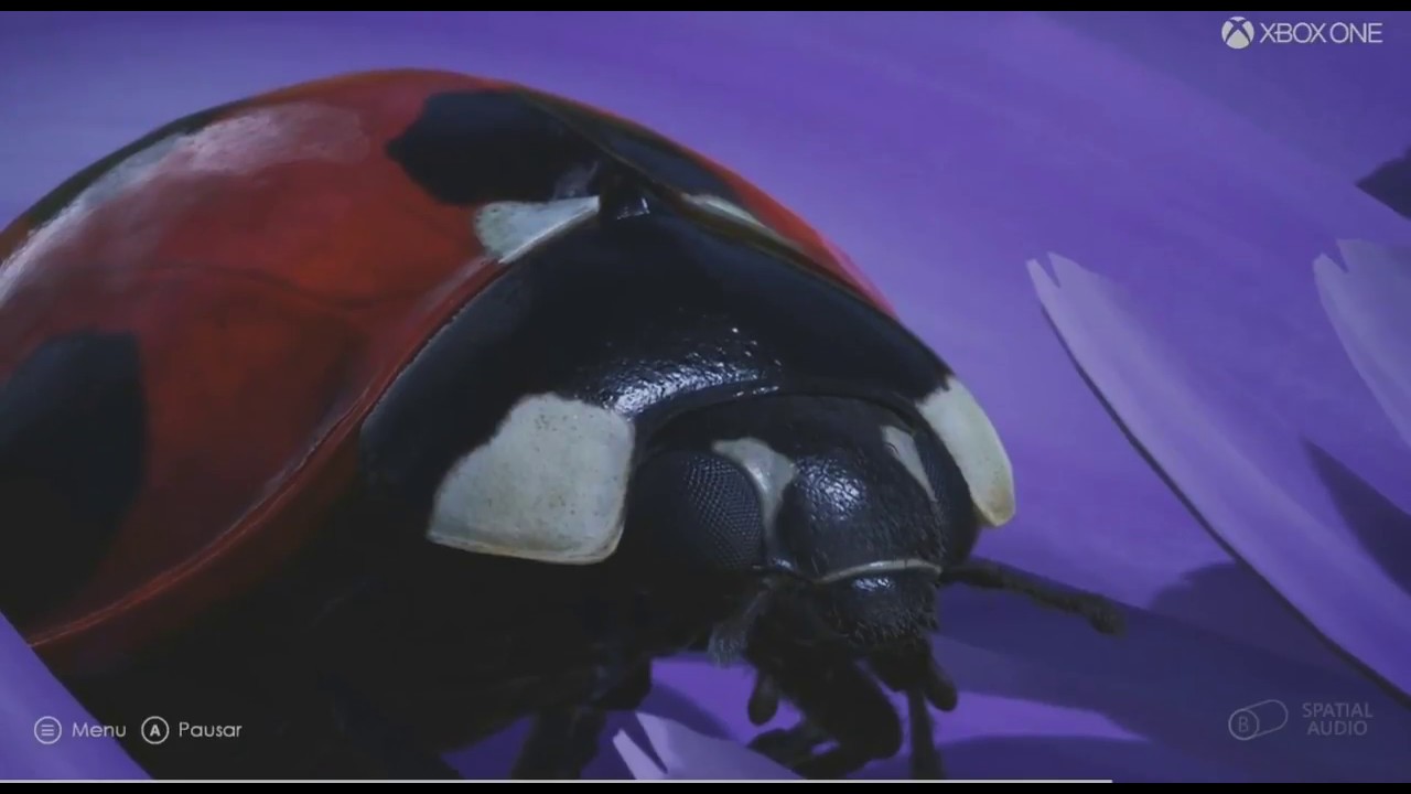 INSECTOS GAME 4 K XBOX ONE - YouTube