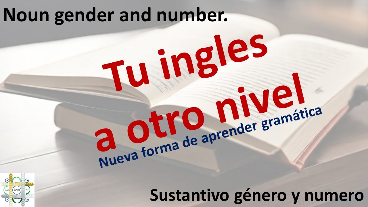 Noun gender and number / Sustantivo género y numero - YouTube