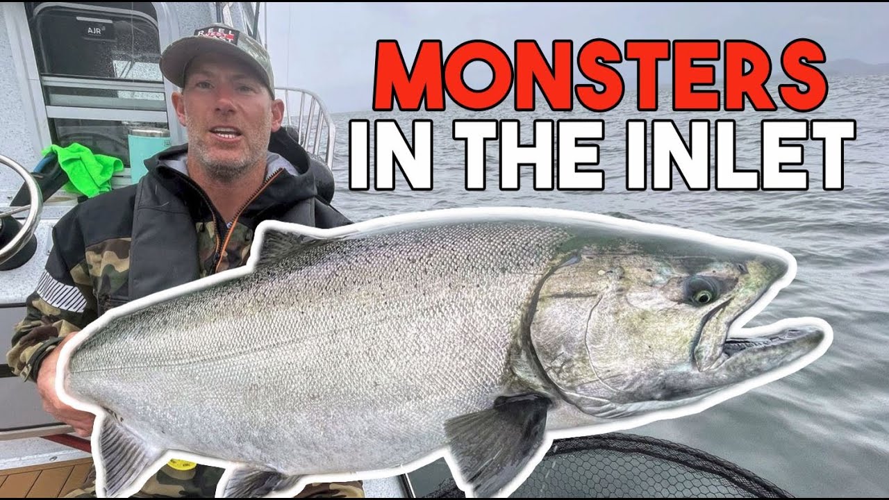 Chasing MONSTER Salmon | Grinding Rivers Inlet for Legendary Chinook ...