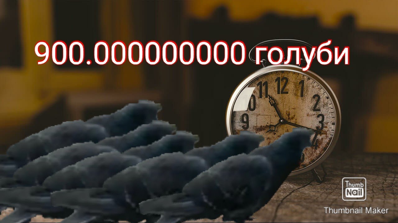 9000000.00000 голуби - YouTube