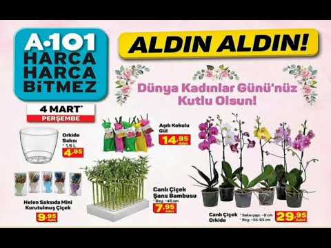 4 Mart a101 markette canlı çiçek şans bambusu / orkide / aşılı kokulu gül geliyor