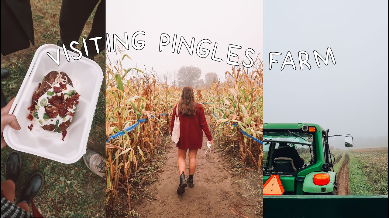 visiting Pingles farm: corn mazes and lots of fall treats - YouTube