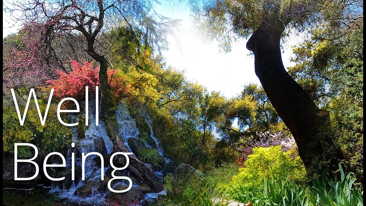 Well Being (Guided Meditation/Visualization) - YouTube