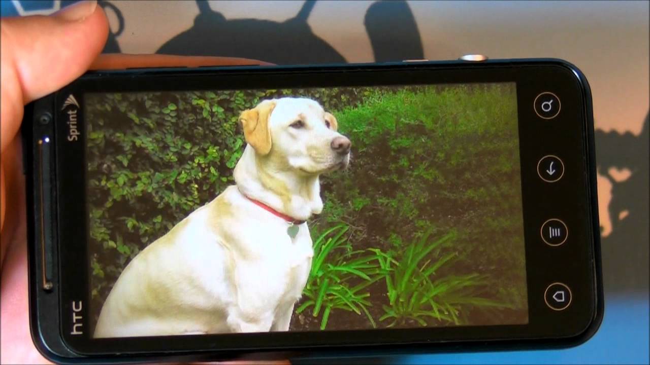 Htc Evo 3d Sprint