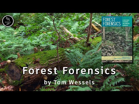 #48: Book review: Forest Forensics by Tom Wessels, a book you want to get