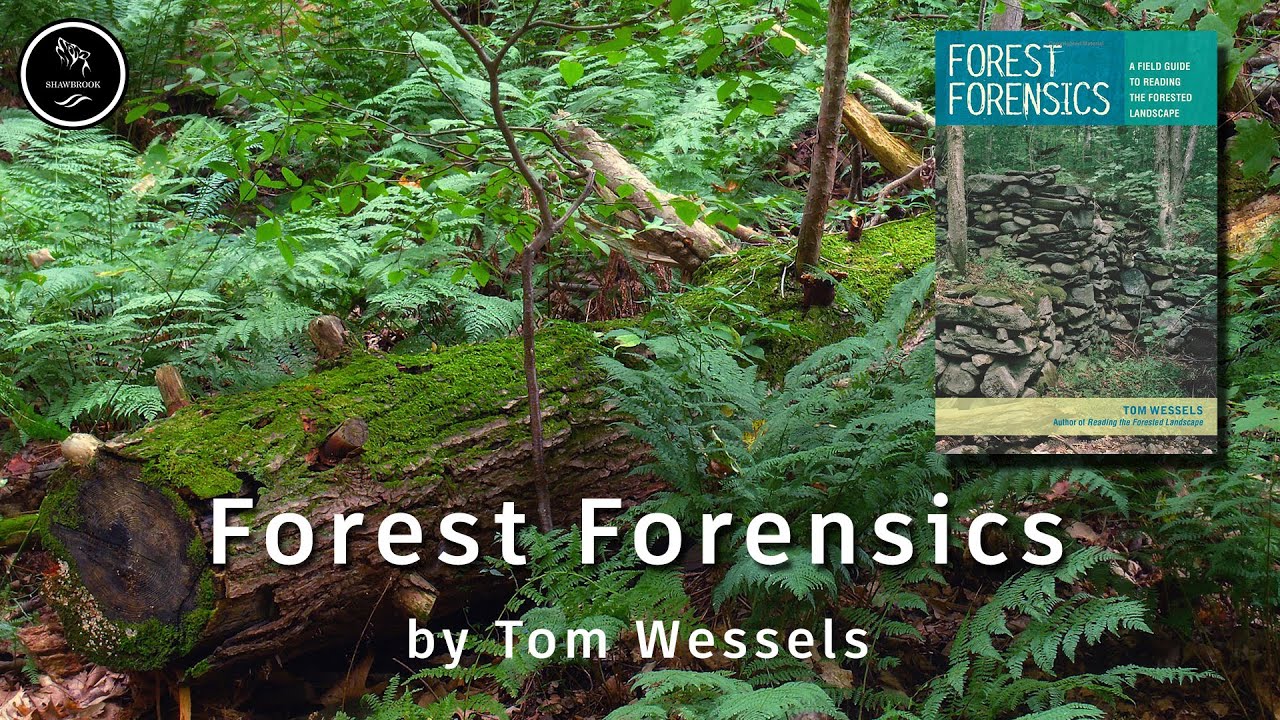 #48: Book review: Forest Forensics by Tom Wessels, a book you want to ...