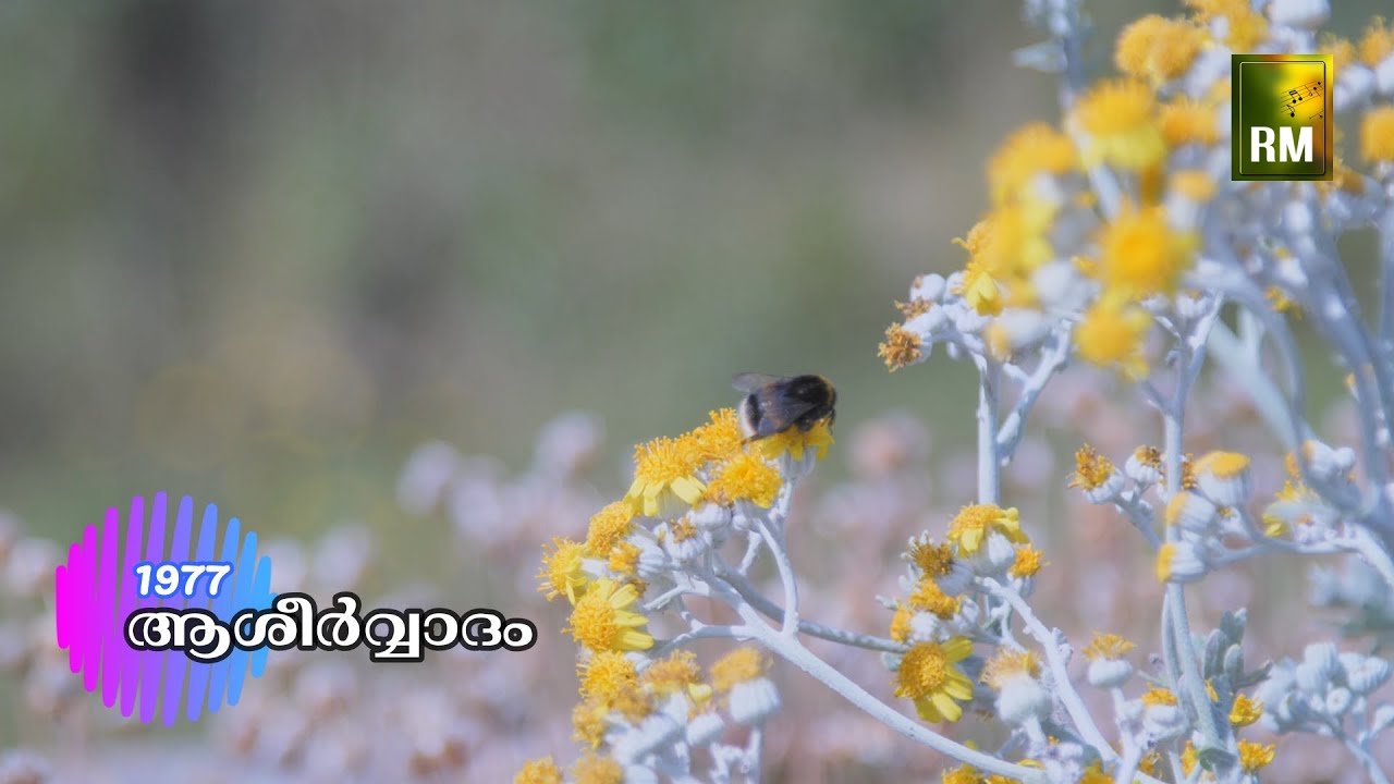 seemantha rekhayil chandanam charthiya - YouTube