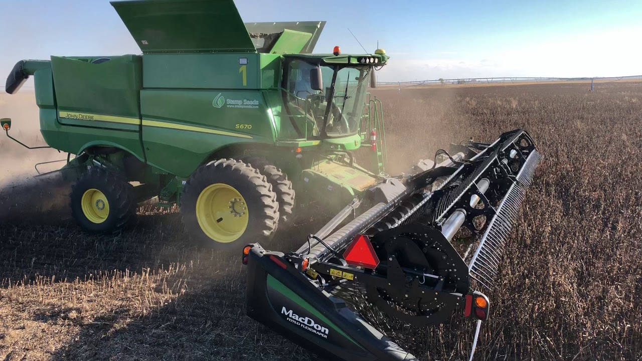 Snowbrid Faba Bean Harvest 2018 - YouTube