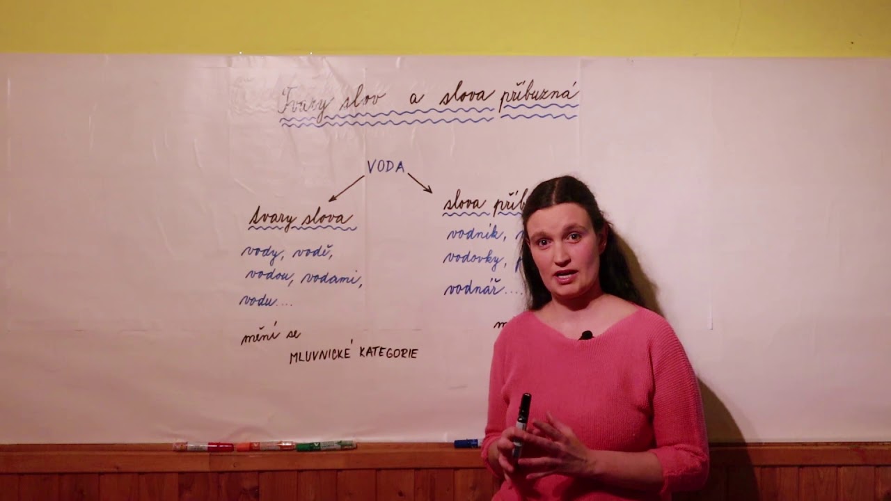 Český jazyk - Tvary slov a slova příbuzná - YouTube