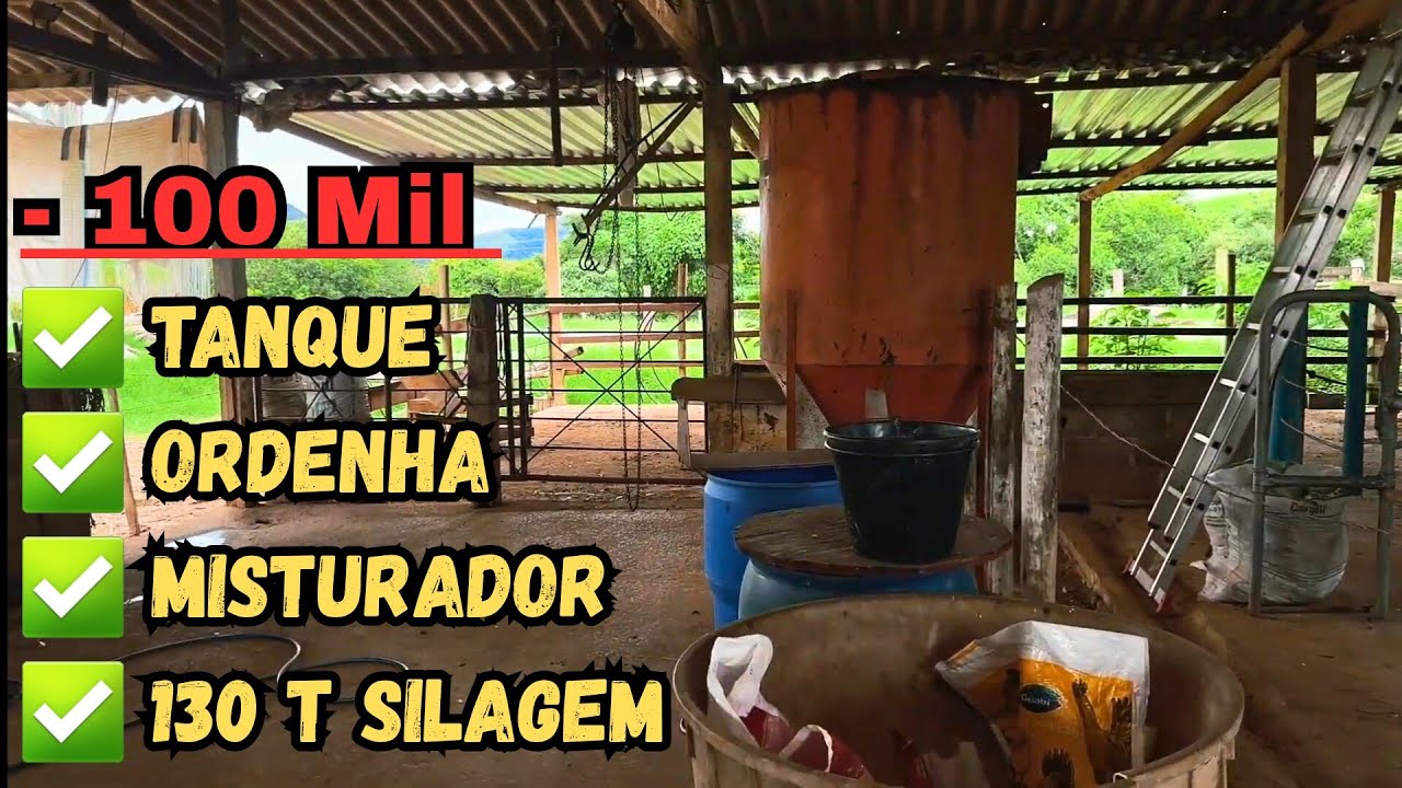 Seu Roberto tirou 100 mil no preço do sítio e vai com ordenha + Tanque ...