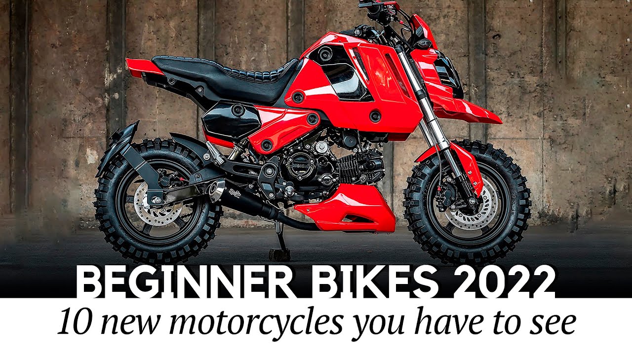 Beginner Motorcycles Custom Top 3 Bikes For Beginners – EagleLights