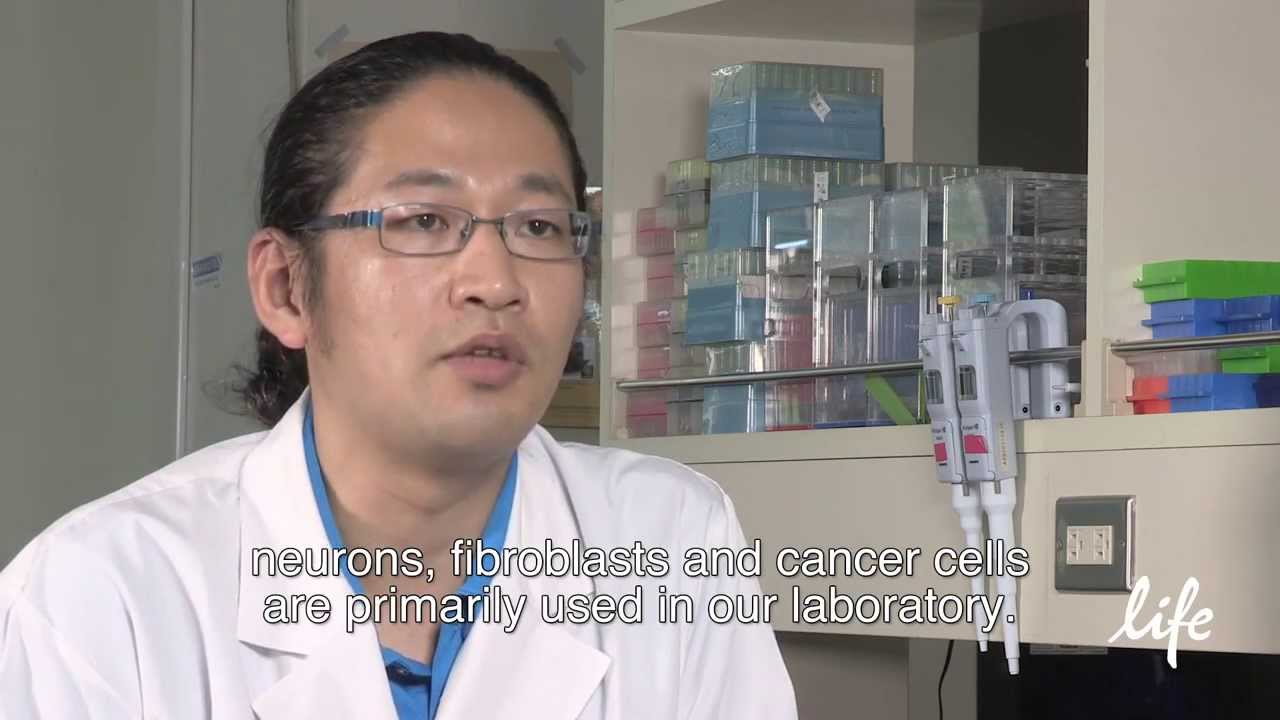 Taisuke Tomita Ph.D. loves Lipofectamine® 2000 - YouTube