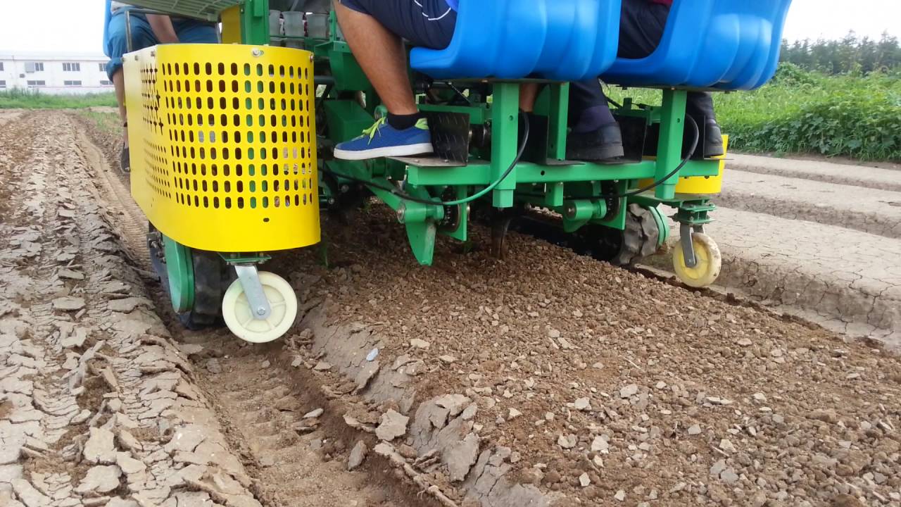 4 line transplanter from chinese supplier - YouTube