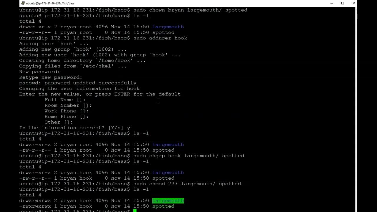 CBIS 3213 - AWS Help Sys Admin I - YouTube