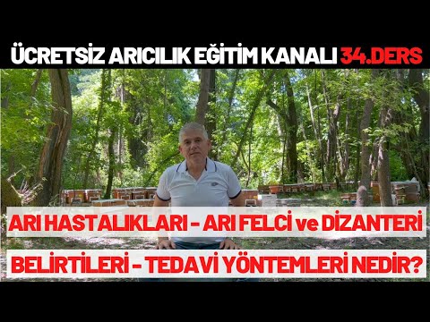 ARI FELCİ ve DİZANTERİ | NE ZAMAN ve NEDEN OLUR? BELİRTİLERİ, ÖNLEMLERİ ve TEDAVİ YÖNTEMLERİ