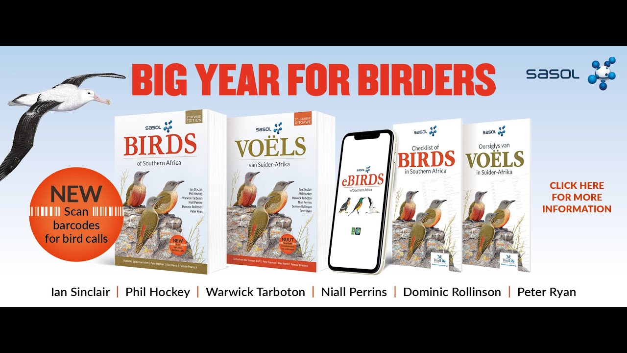 Sasol Birds of Southern Africa Authors and illustrators discuss ...