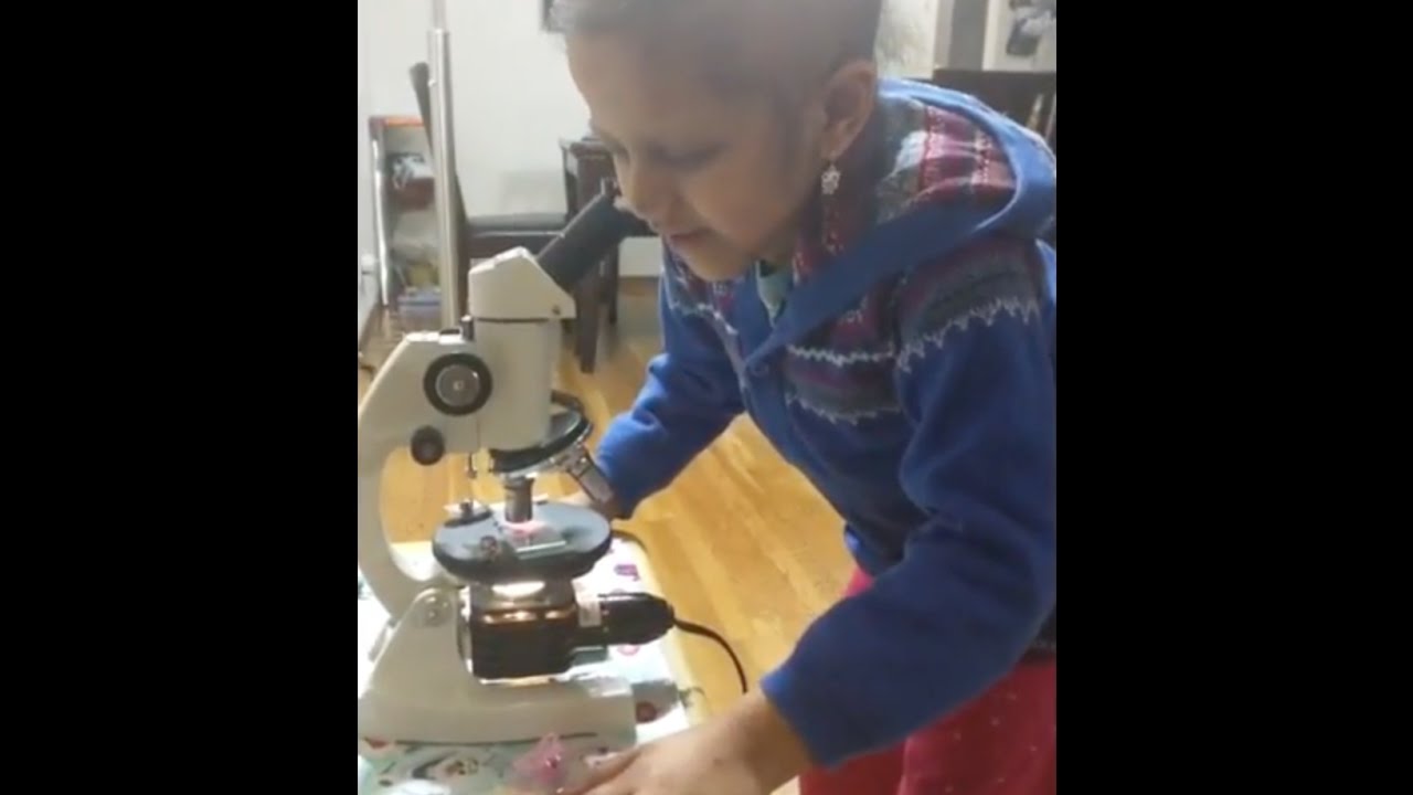 Fun with the microscope - YouTube