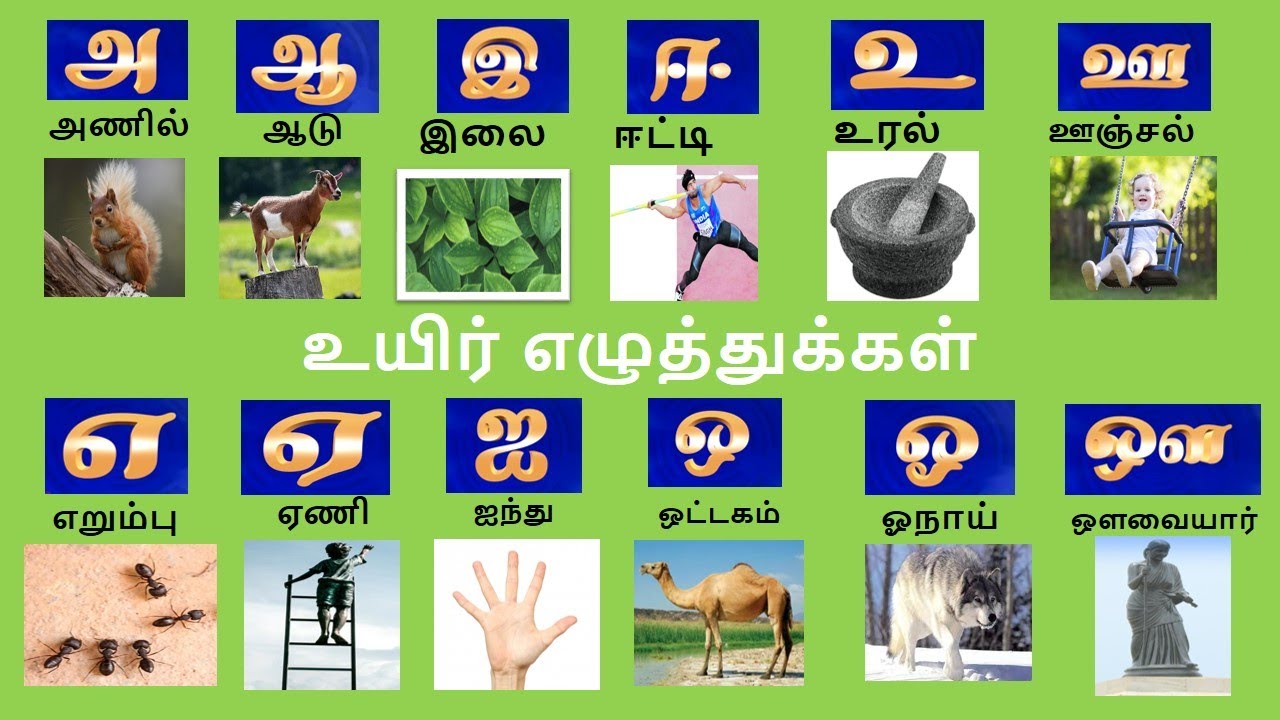 உயிர் எழுத்துக்கள் (Uyir Ezhuthukal)| Learn Tamil Alphabets |அடிப்படை ...