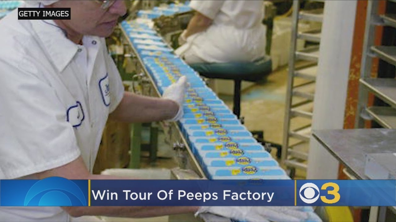 Peeps Offering Behind-The-Scenes Factory Tour Contest - YouTube