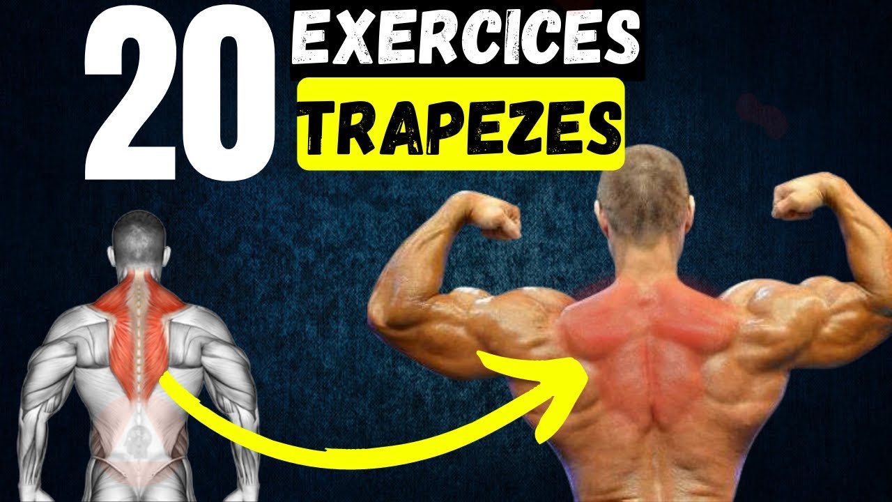 20 exercices efficaces pour des trapèzes massifs et puissants / 20 Best ...