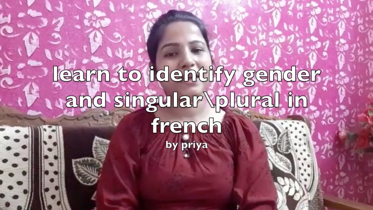 learn to identify gender of a french word or singular and plural in ...