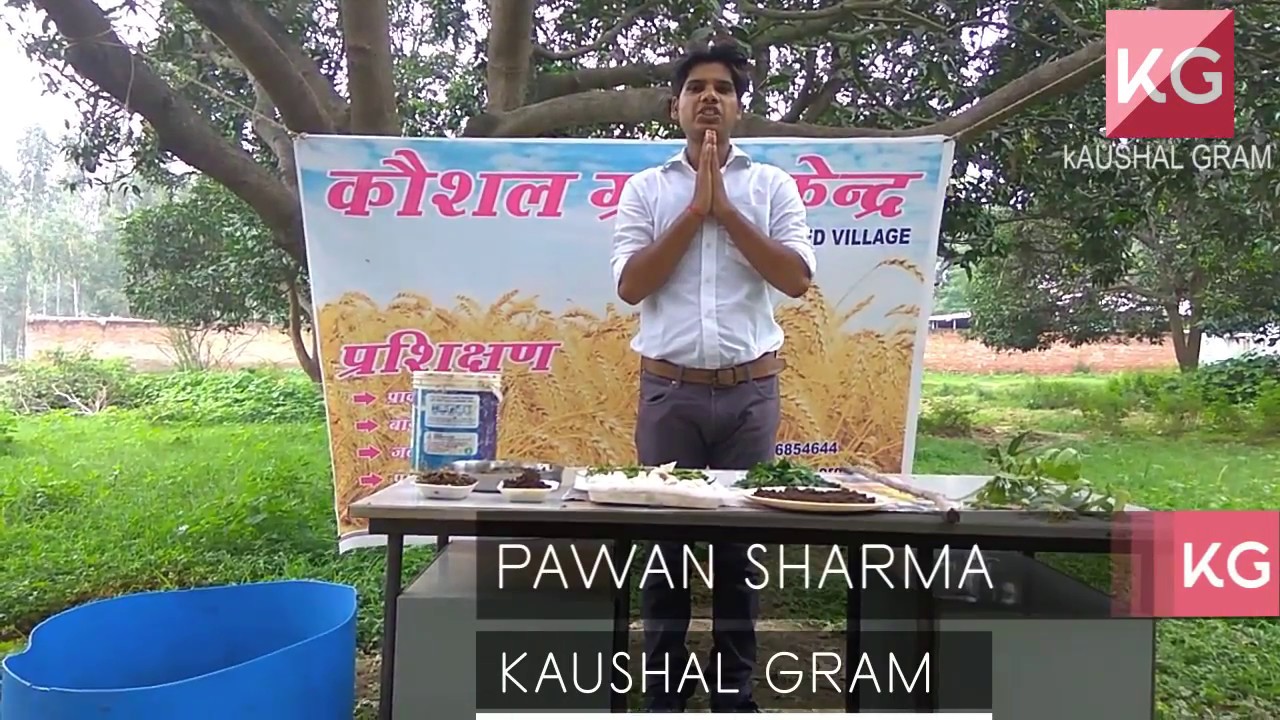 Organic Pesticides & Insecticides: Neemastra (प्राकर्तिक कीटनाशक विधि ...