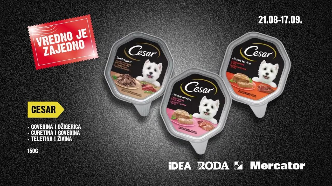 IDEA RODA MERCATOR | Vredno je zajedno Cesar 21.08 -17.09.2023. - YouTube