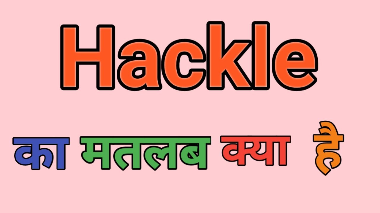 Hackle Meaning In Hindi || Hackle Ka Matlab Kya Hota Hai || Word ...