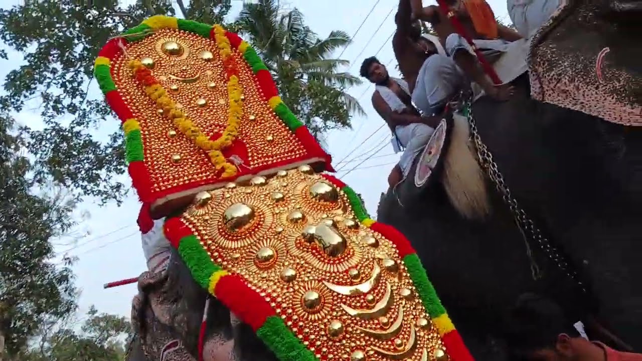 Biggest Elephant Procession | Kerala Temple Festival | Anayadi Gajamela ...