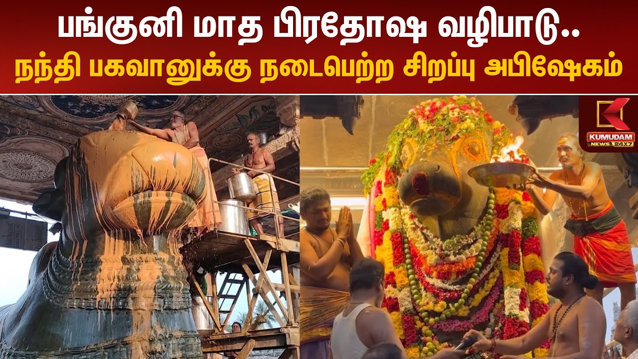 பங்குனி மாத பிரதோஷ வழிபாடு.. Nandi Bhagavan-க்கு நடைபெற்ற சிறப்பு ...