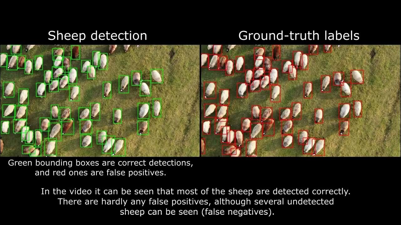 Detection and tracking of livestock herds from aerial video sequences ...