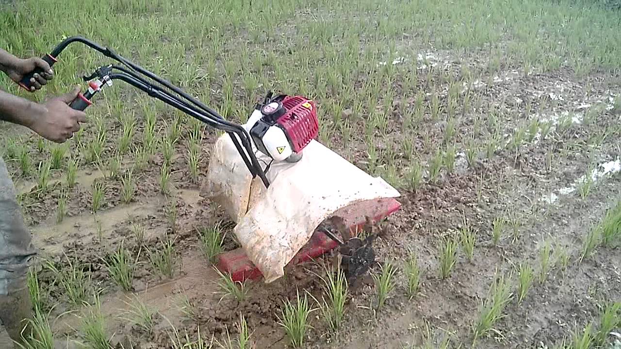 Cono weeder for trans planting - YouTube