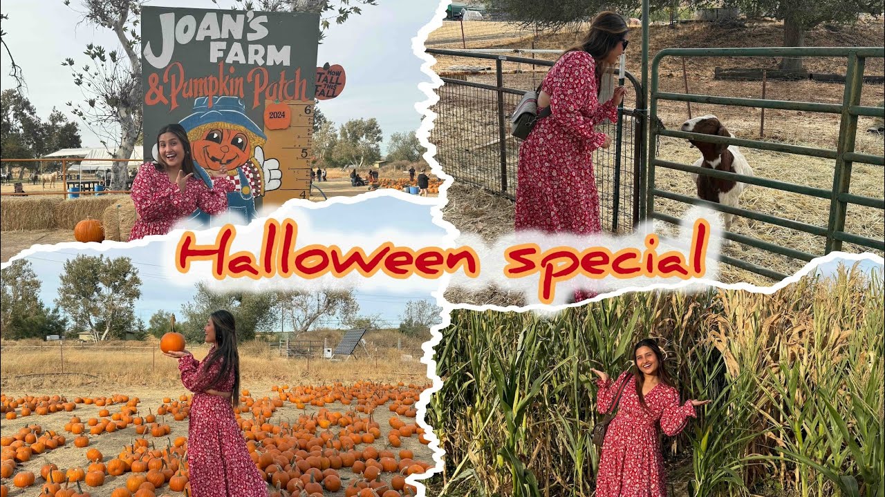 Halloween Festival? 🎃 Lets go for Pumpkin Picking - YouTube