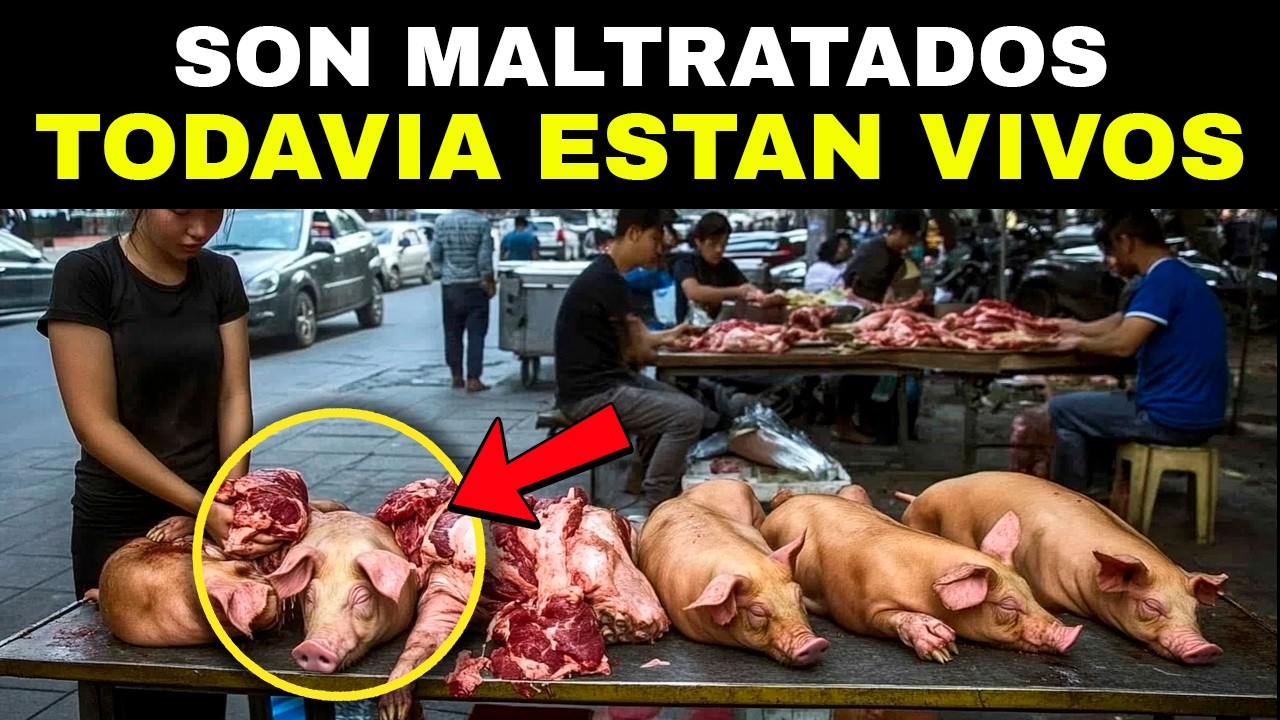 Los 20 ALIMENTOS MÁS EXTRAÑOS Que Se Comen en el Mundo - YouTube