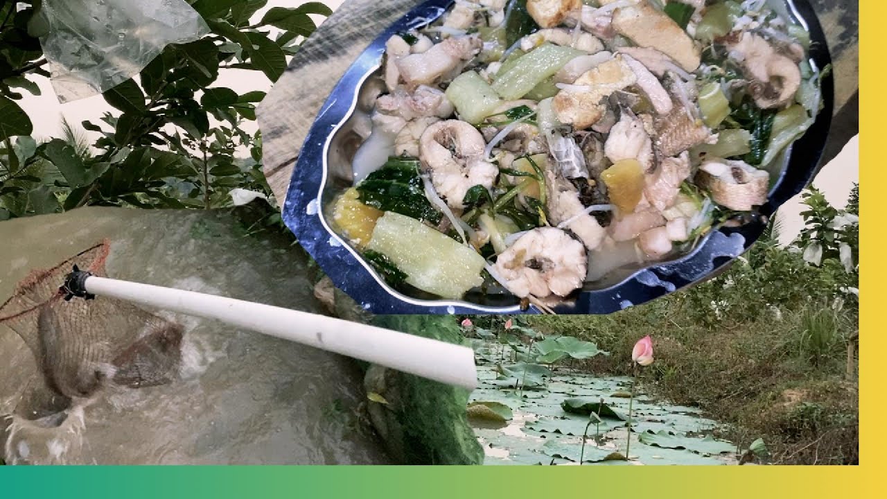 Build Farm. Fish Farming. Catch Snakehead Fish, and Cook Delicious ...