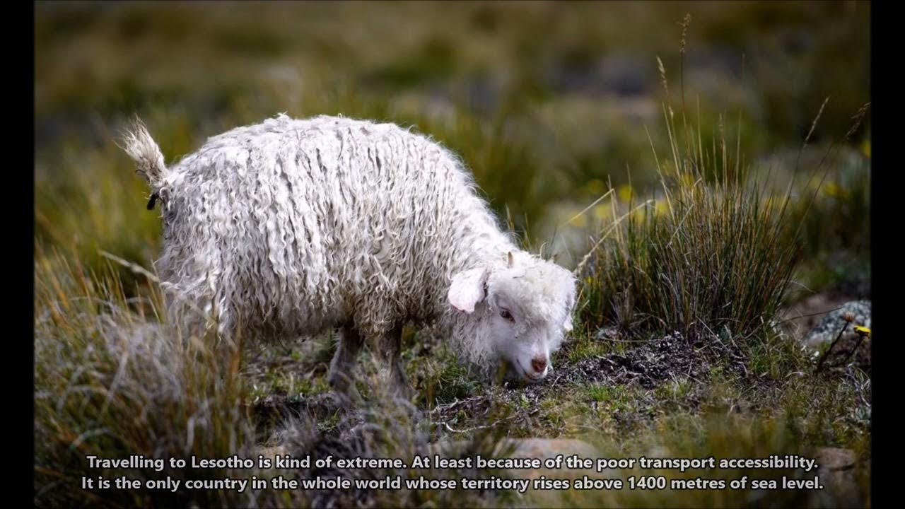 7P8EI Lesotho. From dxnews.com - YouTube