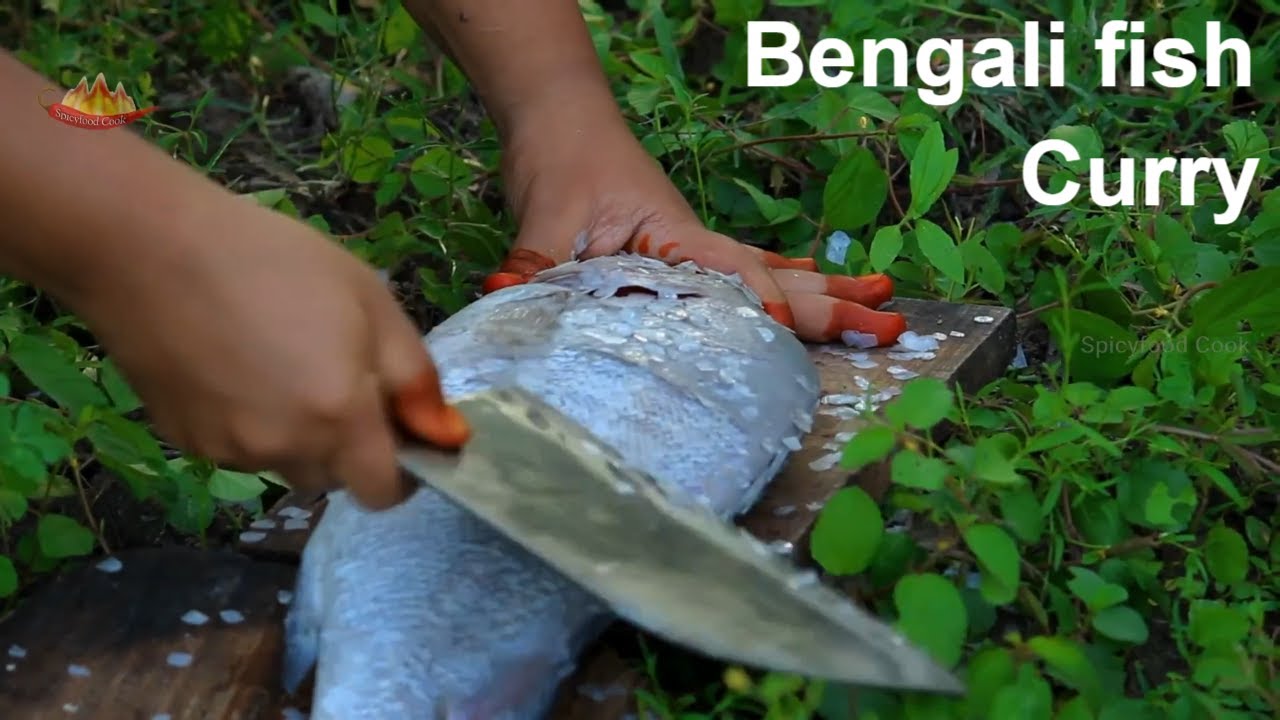 BENGALI FISH KALIYA RECIPE | Traditional Fish Curry Recipe | Durga Puja ...