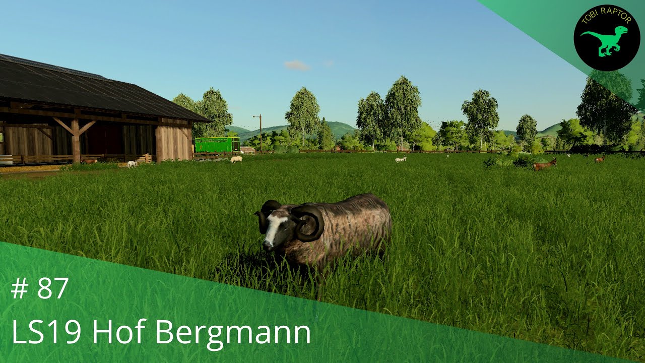 Flauschige Freunde für die Ziegen | LS19 Hof Bergmann #87 - YouTube